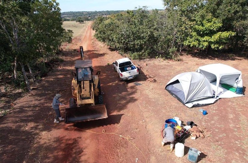 Mapa confirma caso de gripe aviária em Cuiabá; Indea adota medidas para ...